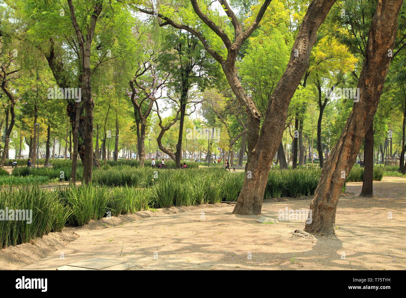Alameda central park in Mexico city Stock Photo - Alamy