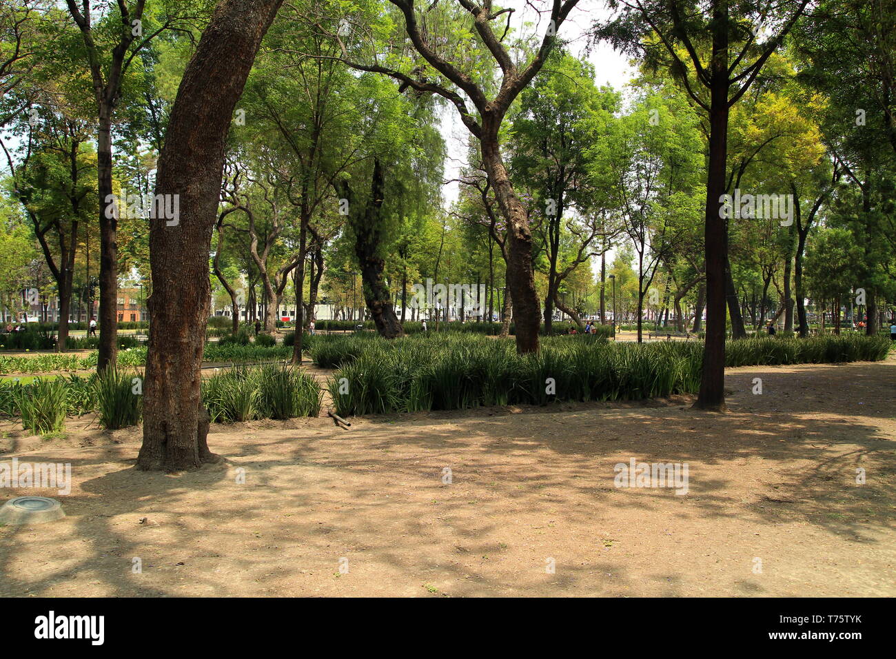 Alameda central park in Mexico city Stock Photo - Alamy