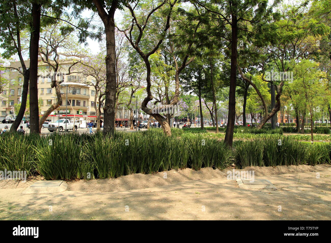 Alameda central park in Mexico city Stock Photo - Alamy