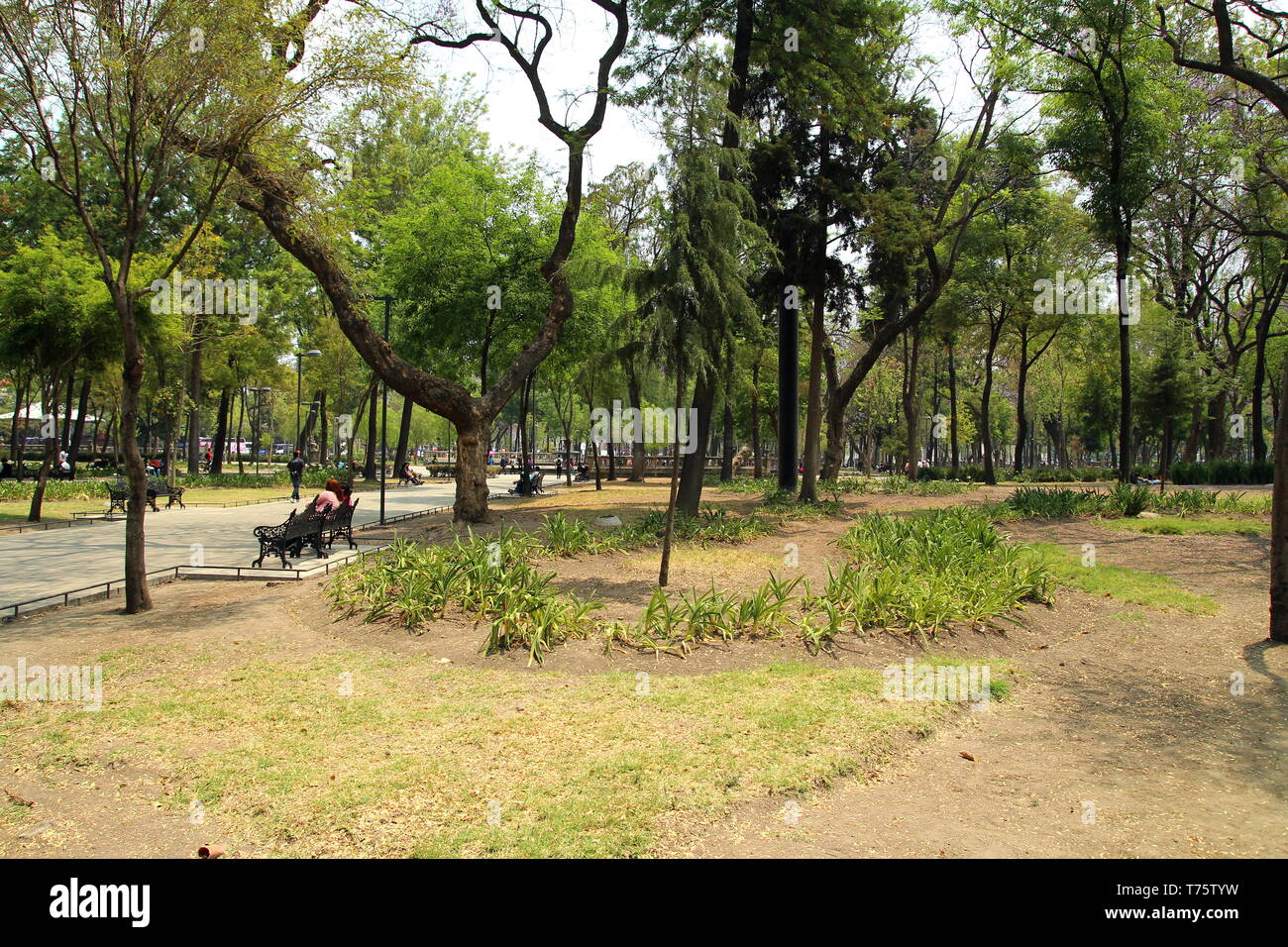 Alameda central park in Mexico city Stock Photo - Alamy