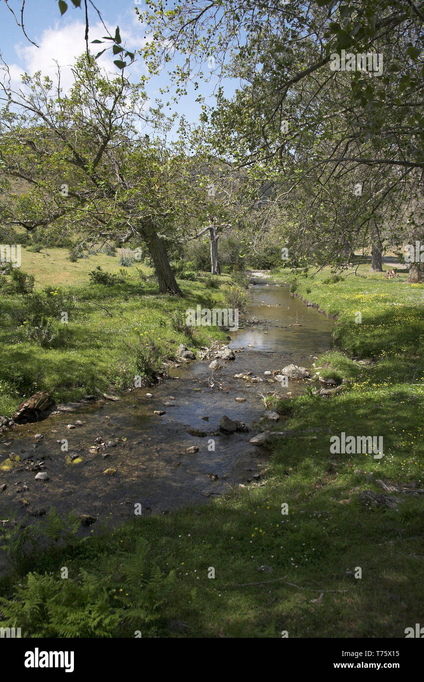River Rau de Lagani Corsica France Stock Photo - Alamy