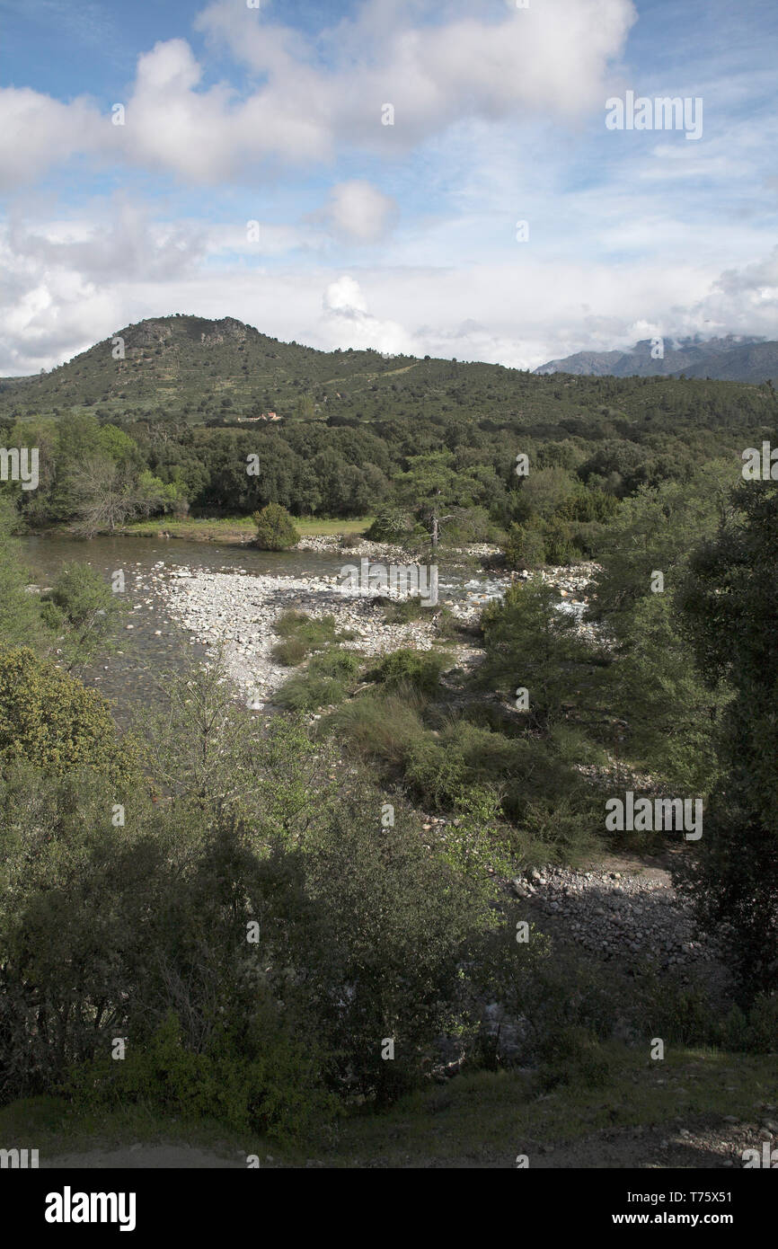River Asco Asco Valley Corsica France Stock Photo - Alamy