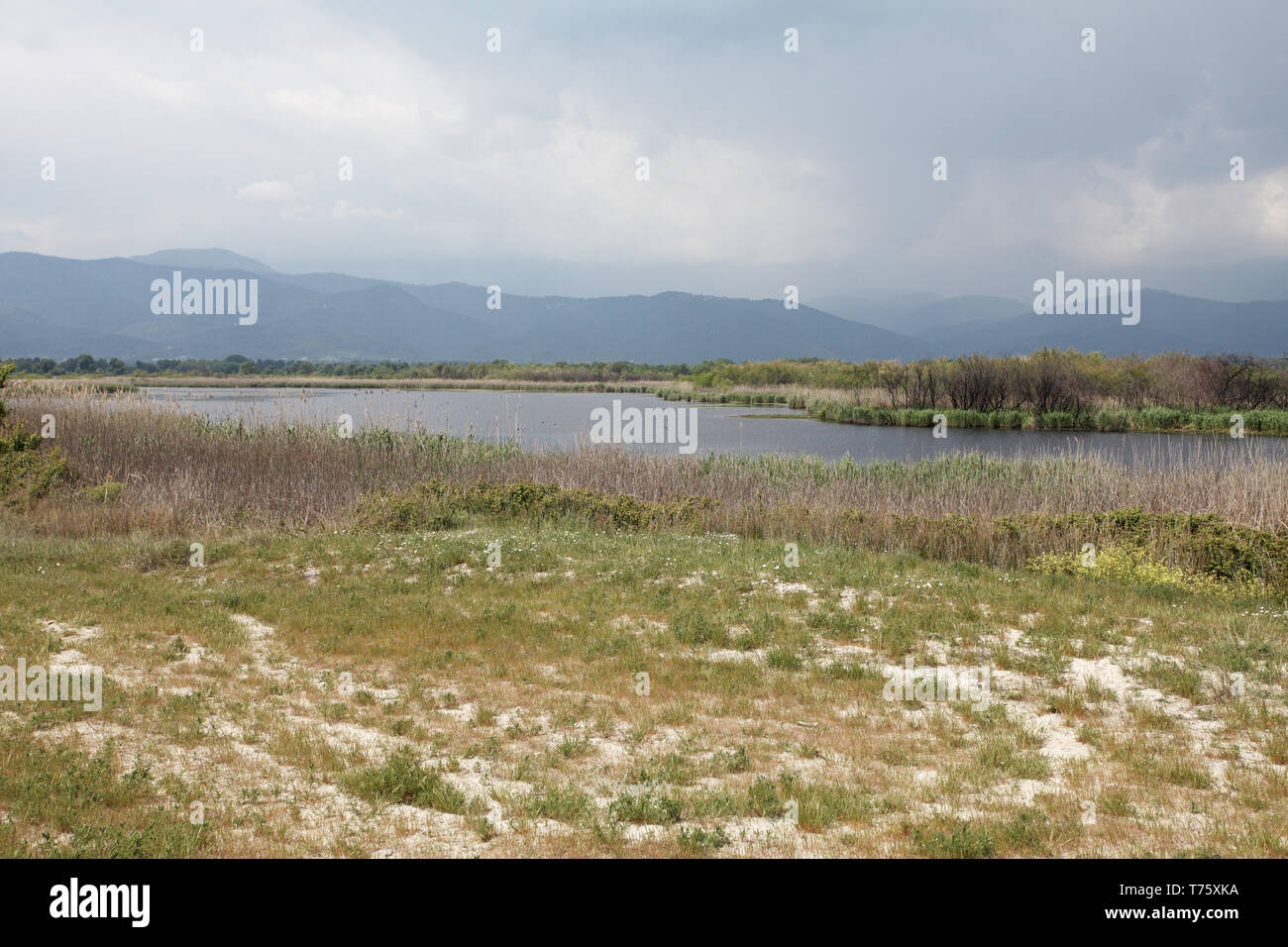 Ghisonaccia hi-res stock photography and images - Alamy