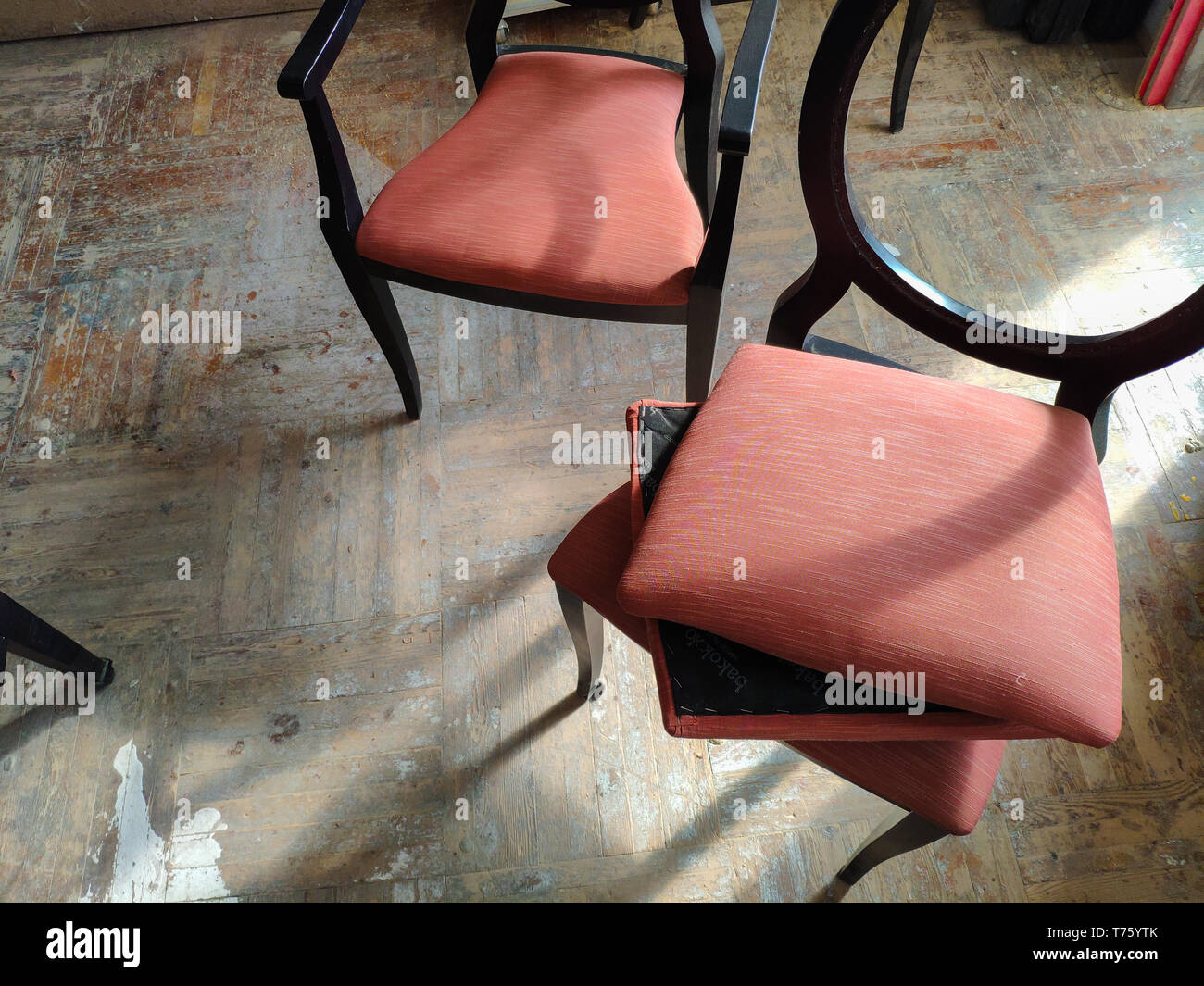 Manufacturing and repair of furniture. Workers make wooden chairs with ...