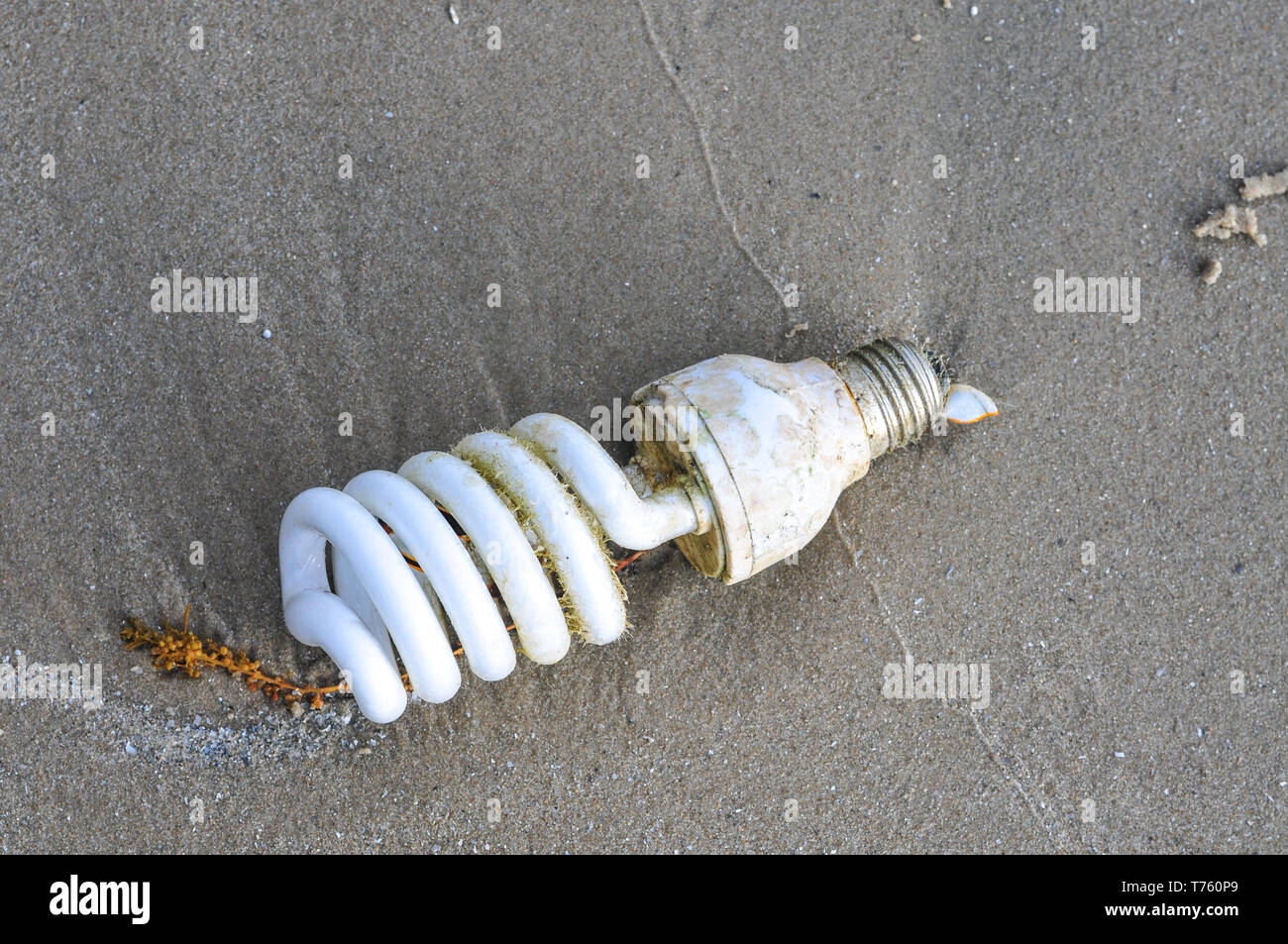 Discarded light bulb on a polluted beach in Thailand Stock Photo - Alamy