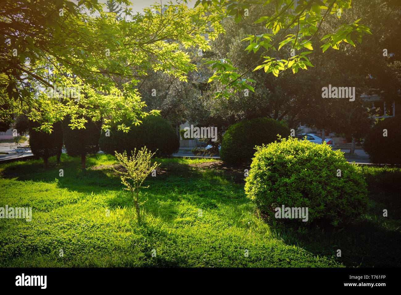 Green areas in the city hi-res stock photography and images - Alamy