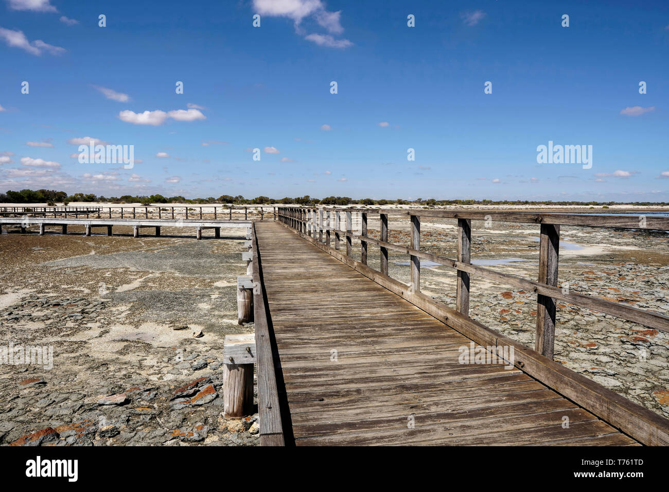 Hamelin pools hi-res stock photography and images - Alamy