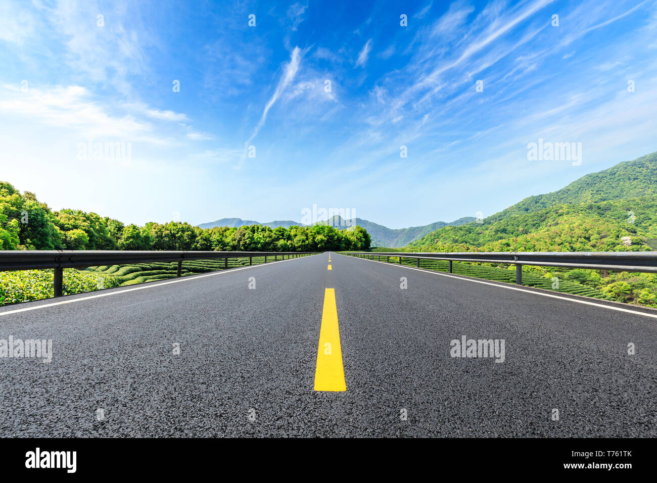 Highway forest hi-res stock photography and images - Alamy