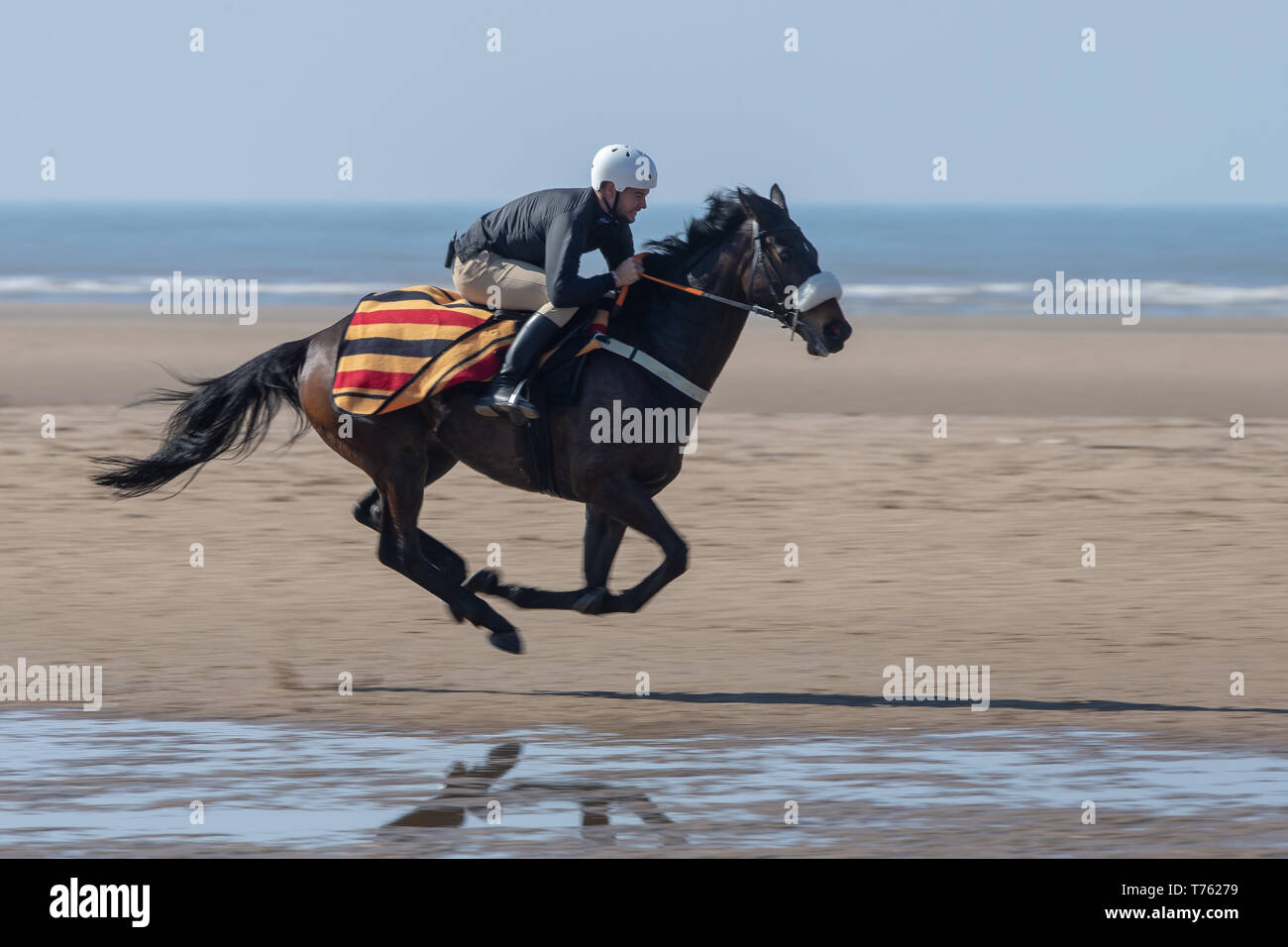 Red rum racehorse hi-res stock photography and images - Alamy