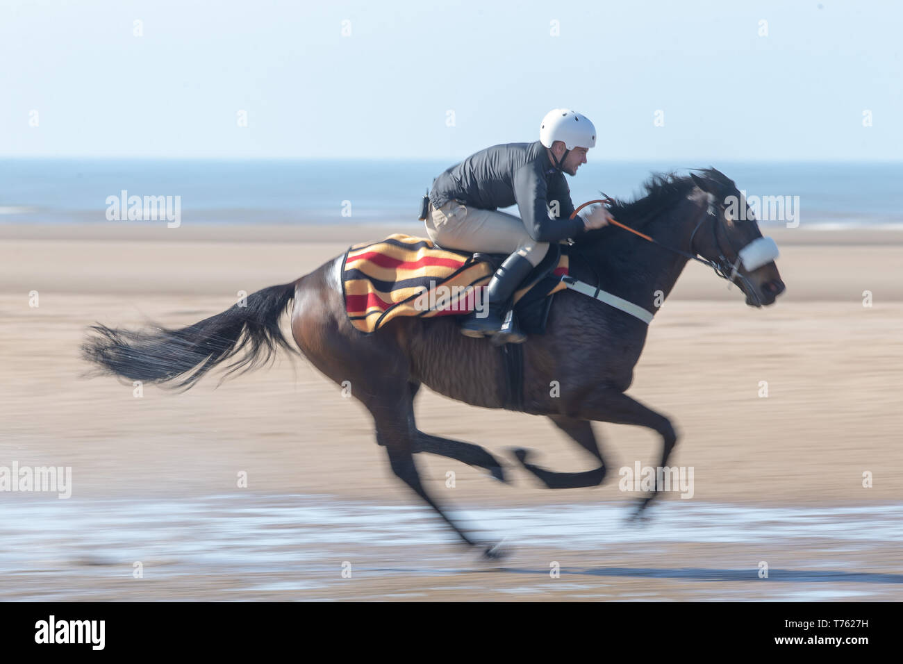 Red rum racehorse hi-res stock photography and images - Alamy