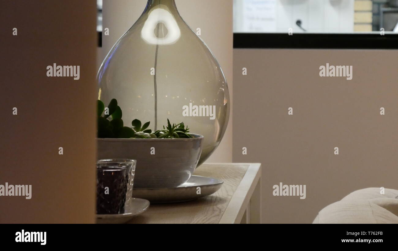 Glass design object and decorative green plant Stock Photo - Alamy