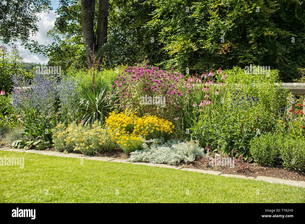 Border flowers hi-res stock photography and images - Alamy