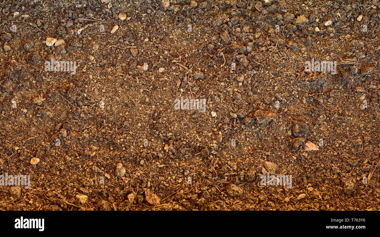 Clay Loam Soil High Resolution Stock Photography and Images - Alamy