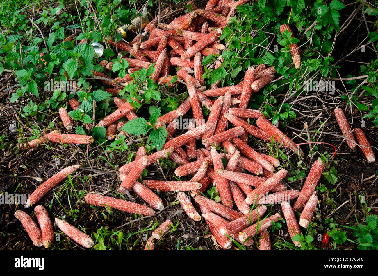 Vegetable residues hi-res stock photography and images - Alamy