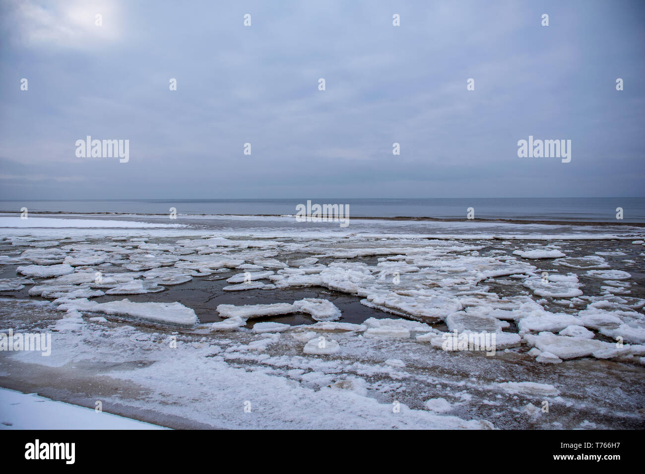ice frozen sea beach with snow and frozen trees in harsh winter Stock ...