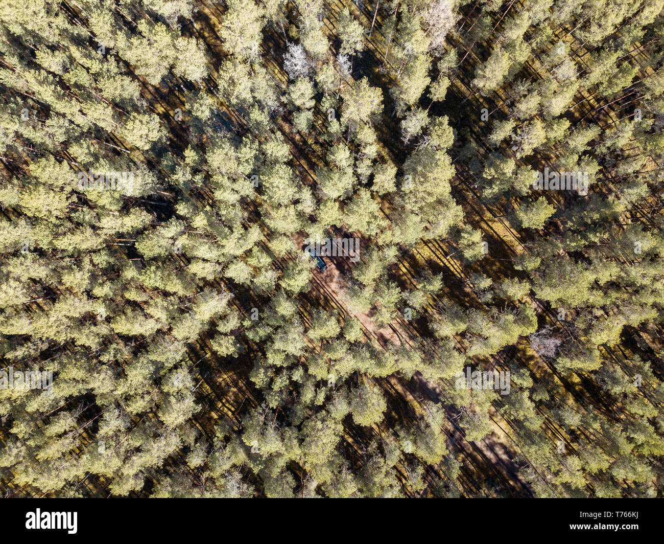 aerial view of countryside endless green forests with small lakes ...