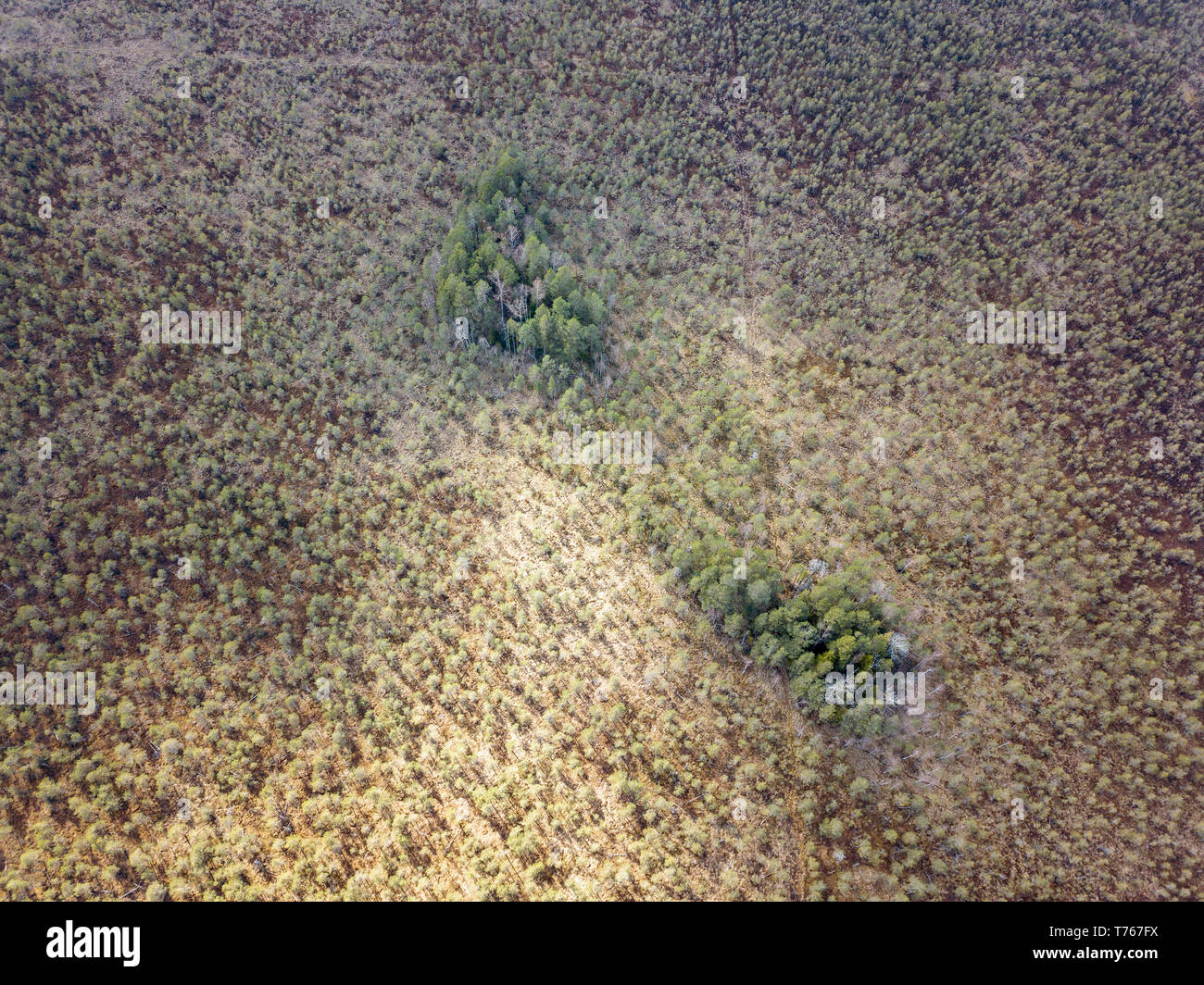 aerial view of countryside endless green forests with small lakes ...