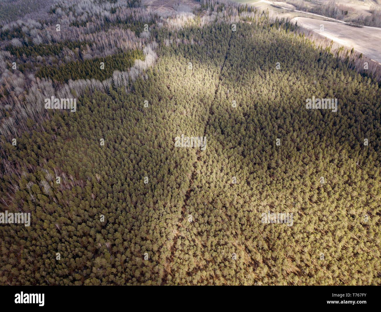 aerial view of countryside endless green forests with small lakes ...