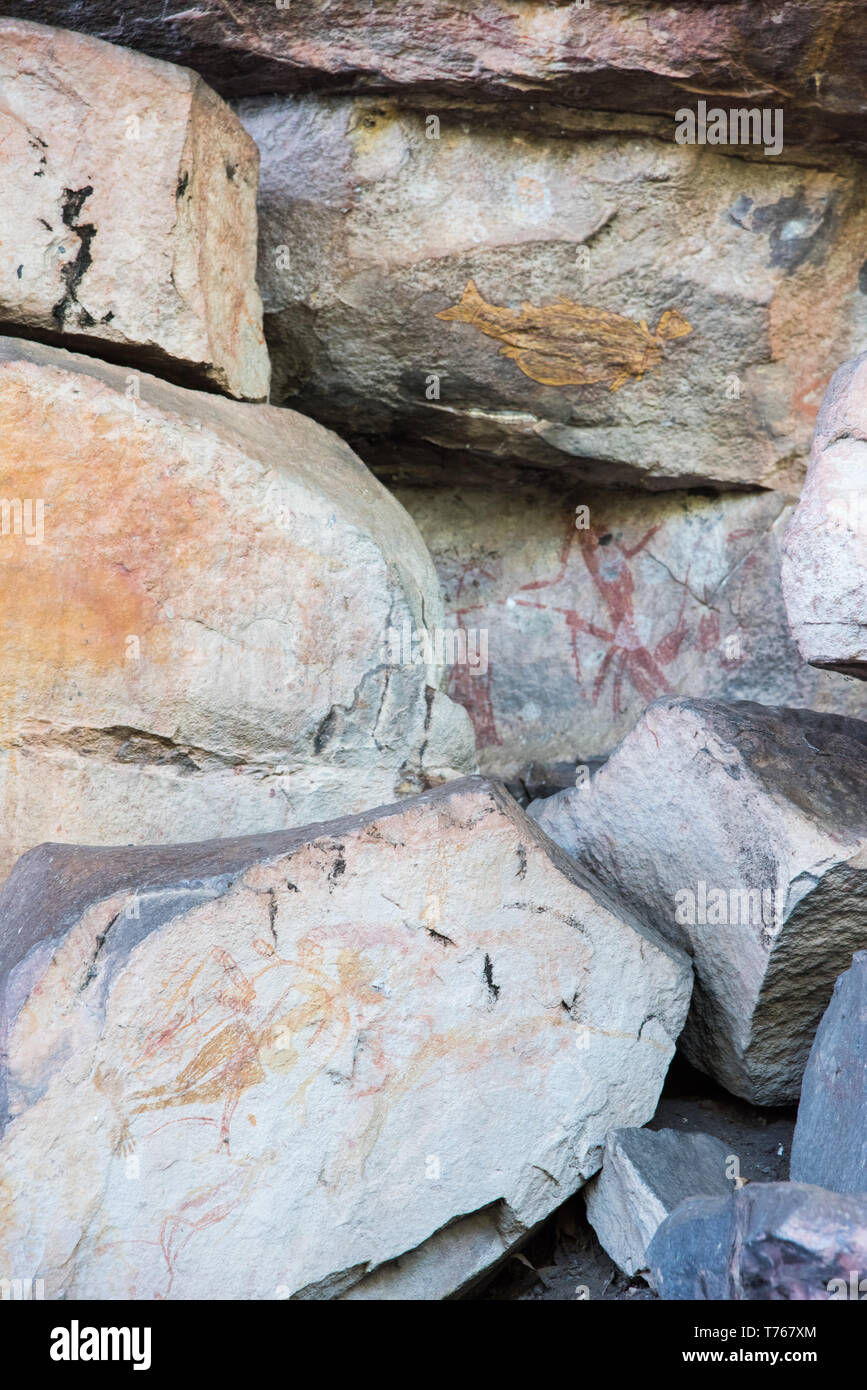 Aboriginal rock art on the natural stone surfaces at Kakadu National ...