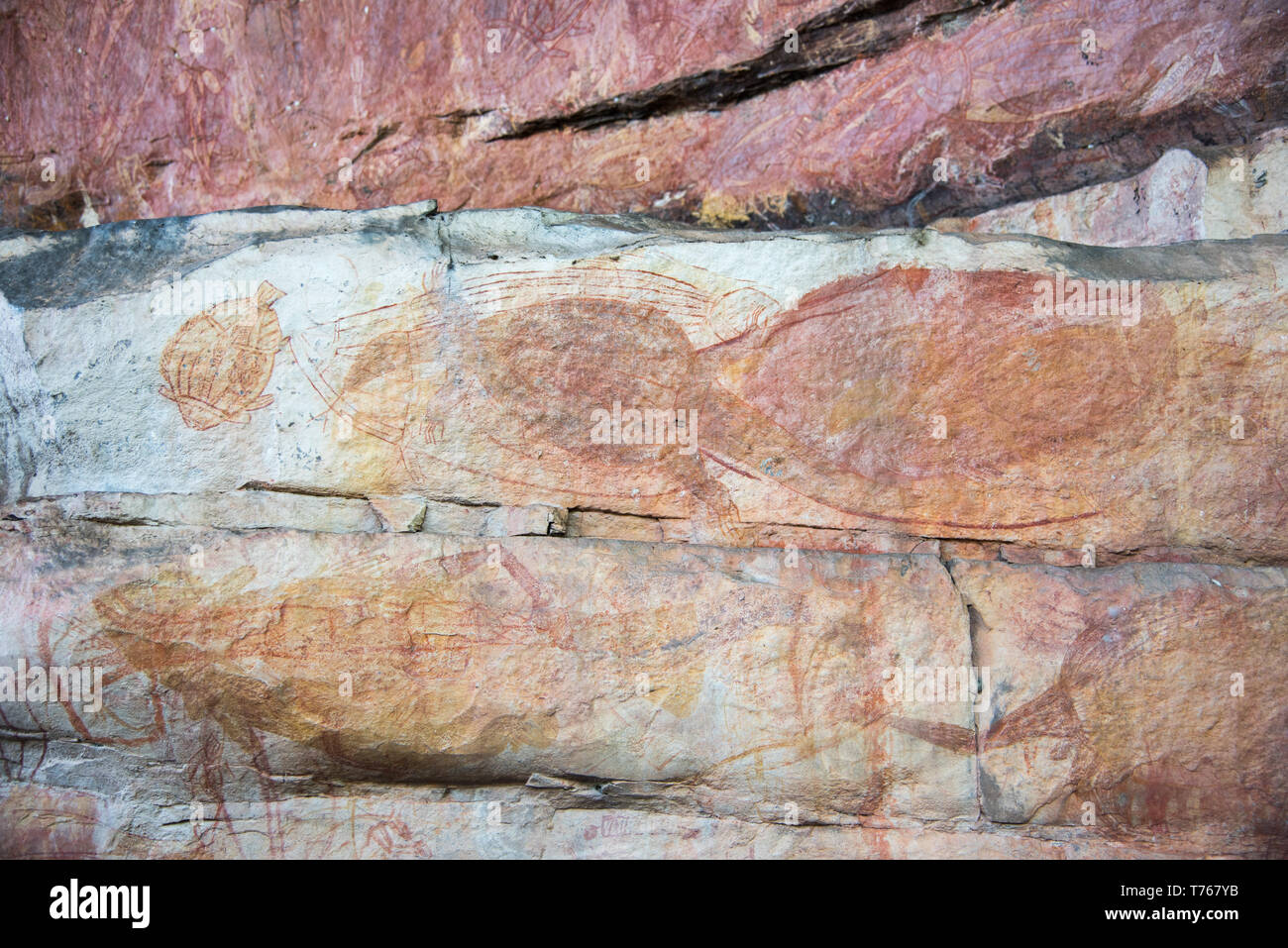 Aboriginal rock art on the natural stone surfaces at Kakadu National ...