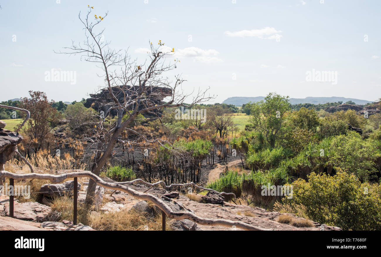 Elevated view from Ubirr Rock over the vast, green bushland at Kakadu ...