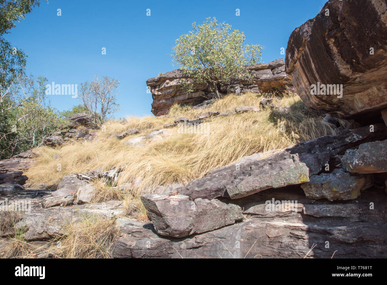 Semi arid terrain hi-res stock photography and images - Alamy