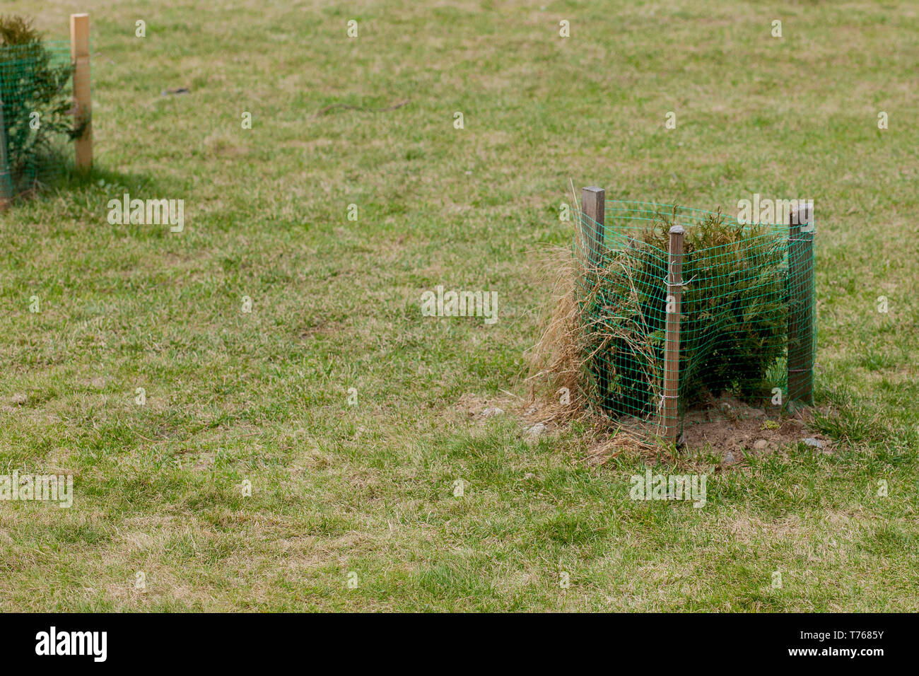 Panoramic view field seedlings hi-res stock photography and images - Alamy