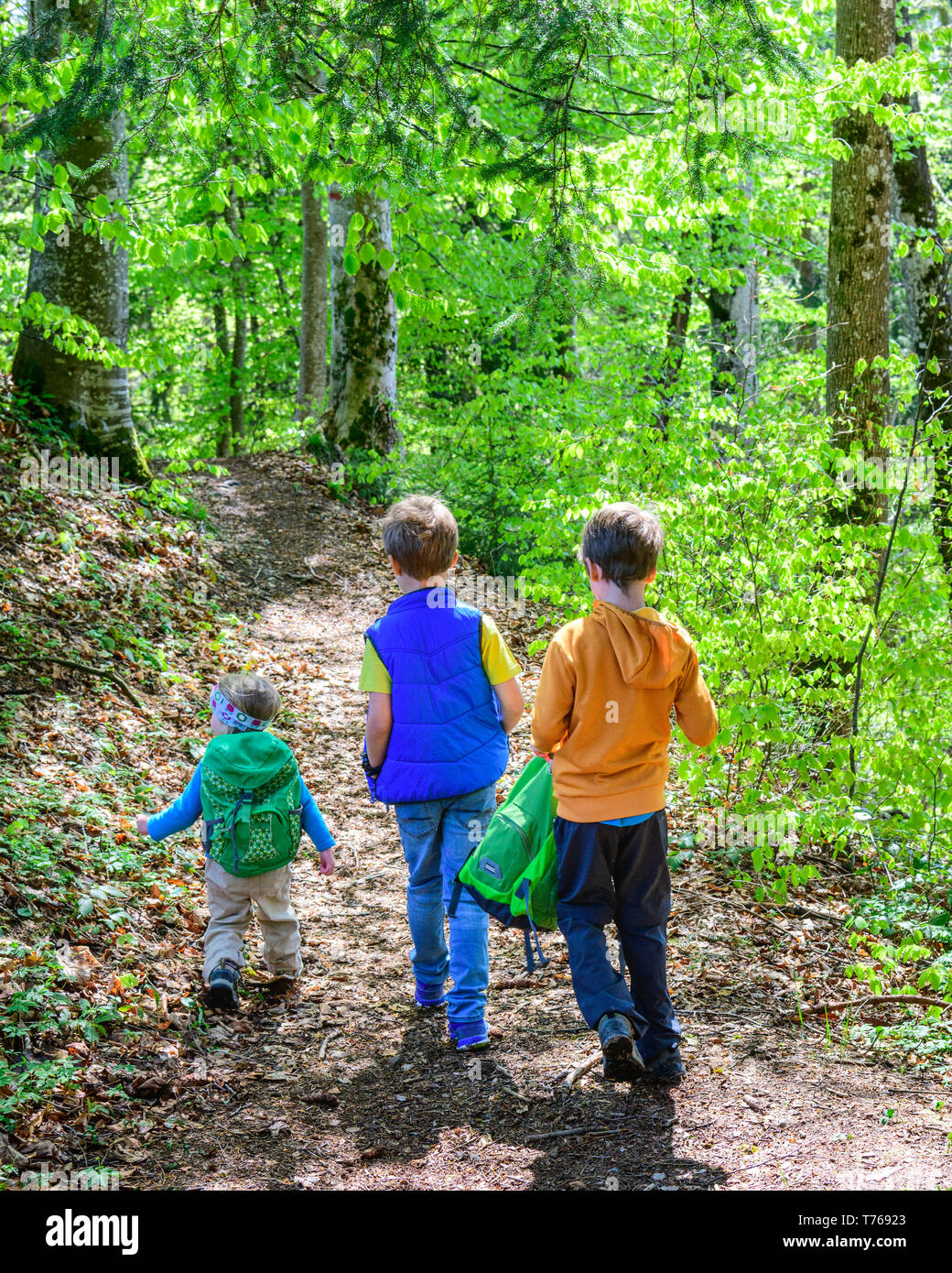 Kids walking in forest in springtime Stock Photo - Alamy