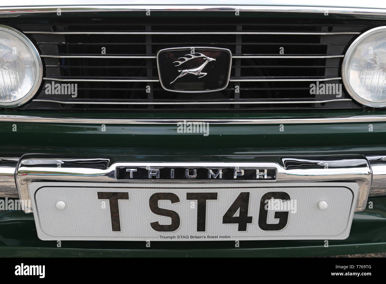 Triumph Stag Logo