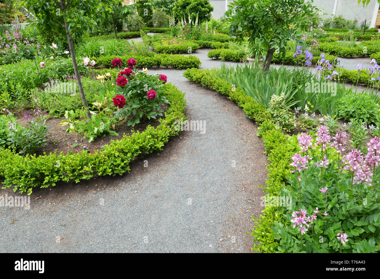 Landscape design. Crushed stone paths and low hedge borders in formal ...