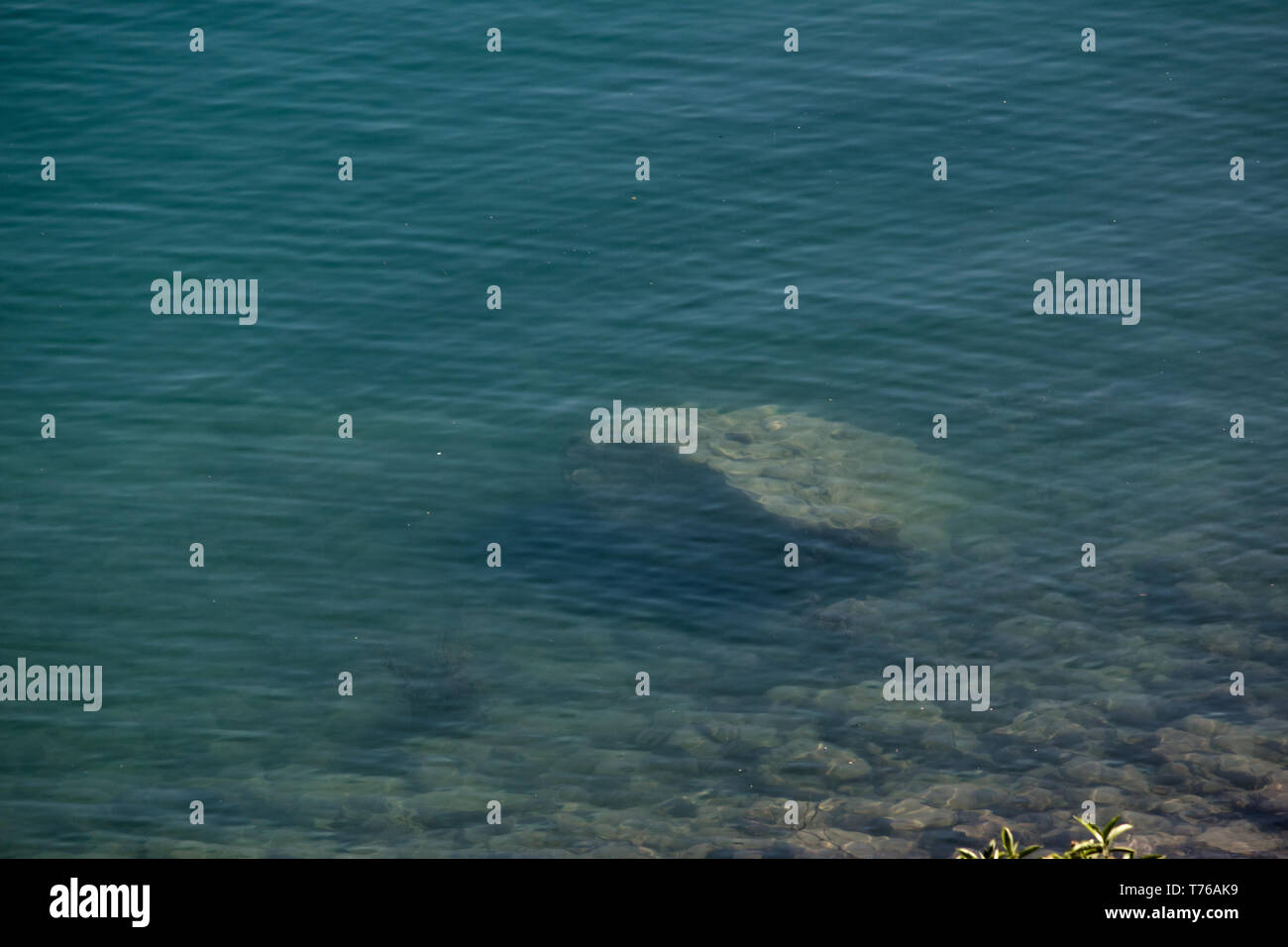 Stones under a crystal clear blue water Stock Photo - Alamy