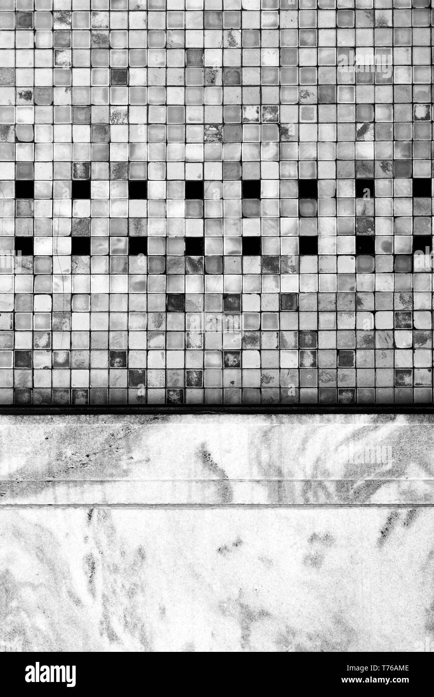 The mosaic tiles and marble wainscoting of the City Building in ...