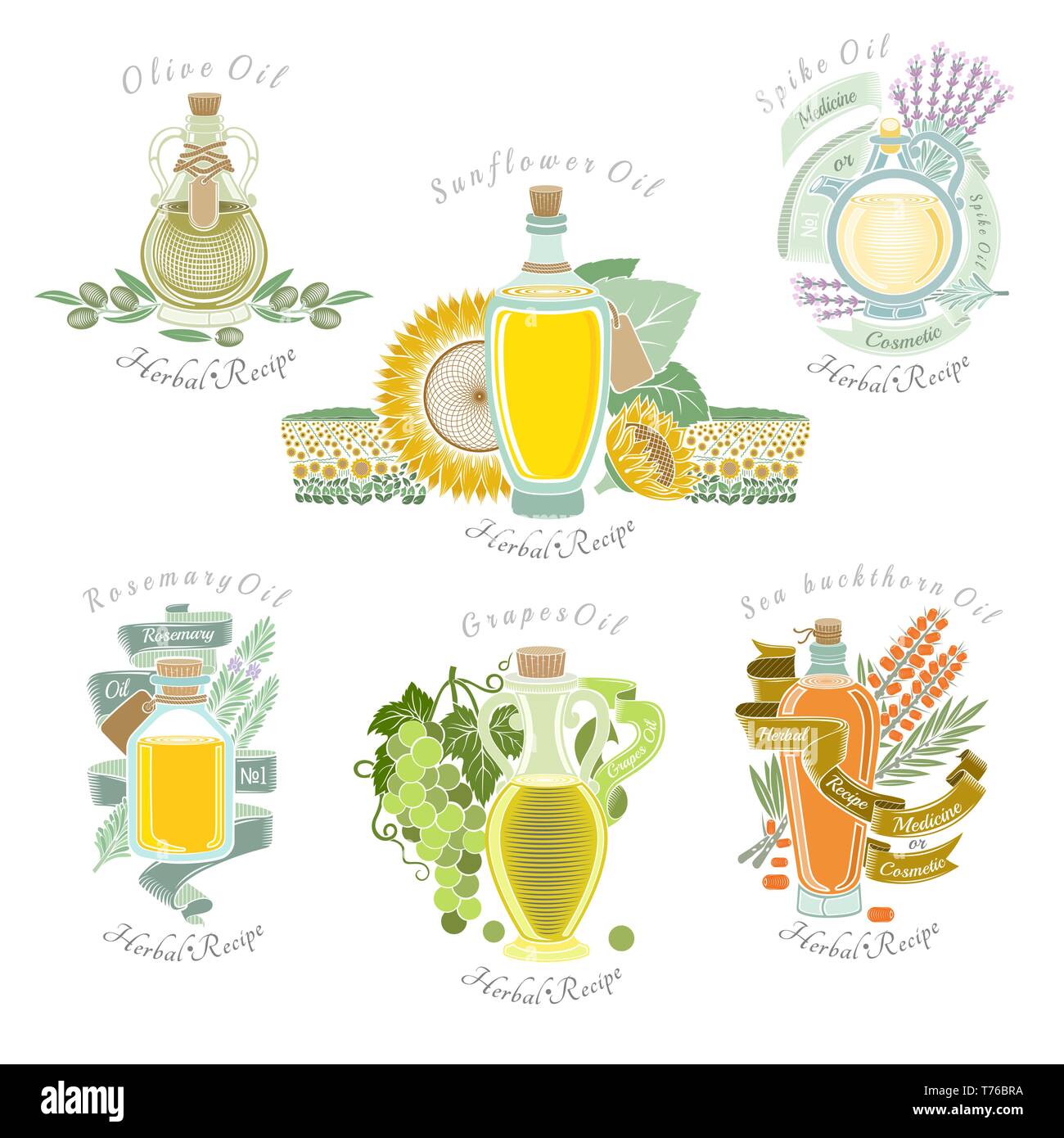 Medicine plants woodcut Stock Vector Images - Alamy