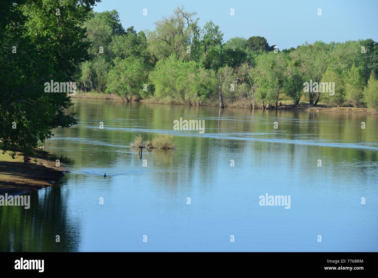 Discovery Park in Sacramento in late spring Stock Photo - Alamy