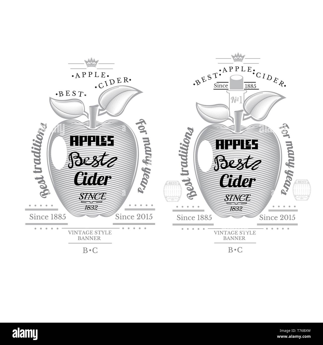 Engraving style apple with lettering on it. Cider label isolated on ...