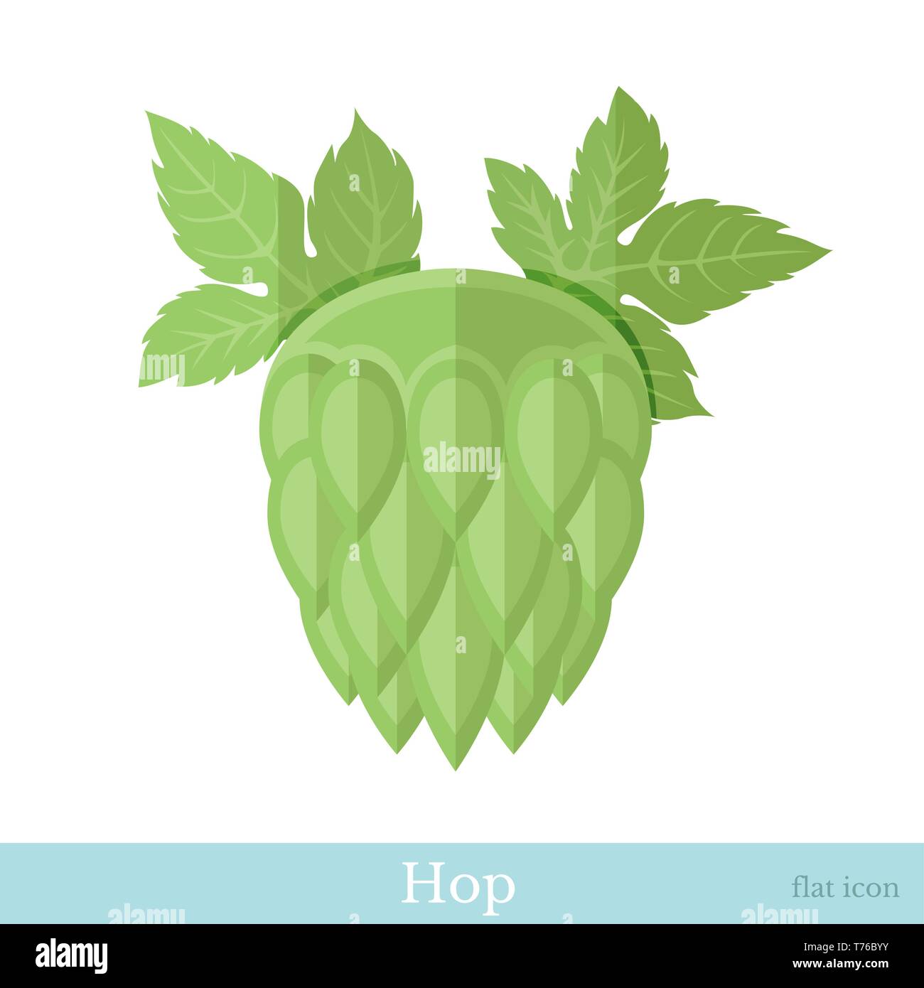 Hops crop vector vectors hi-res stock photography and images - Alamy