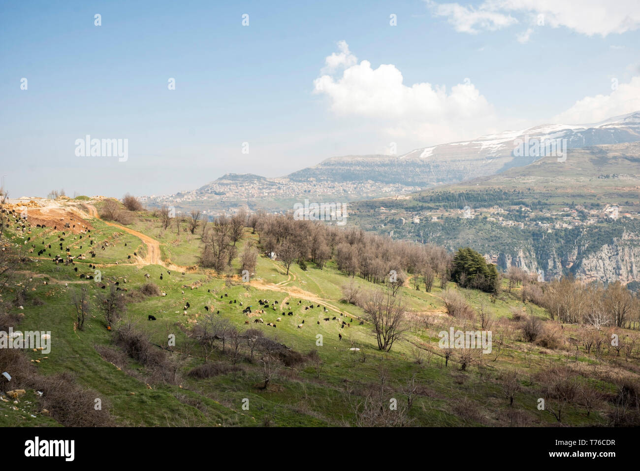 Kadisha Valley, Lebanon Stock Photo - Alamy