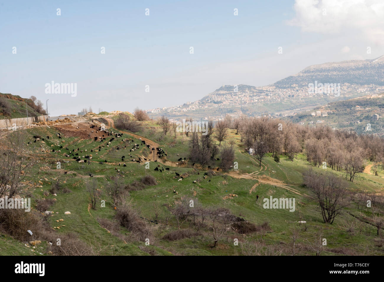 Kadisha Valley, Lebanon Stock Photo - Alamy