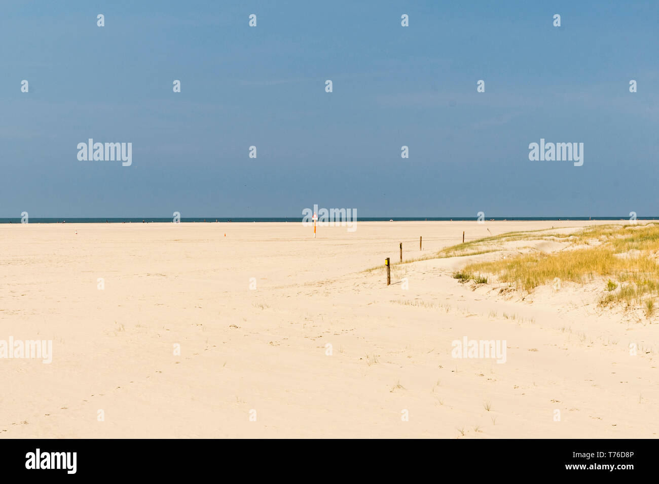 endless beach with blue sky and endless sand Stock Photo - Alamy