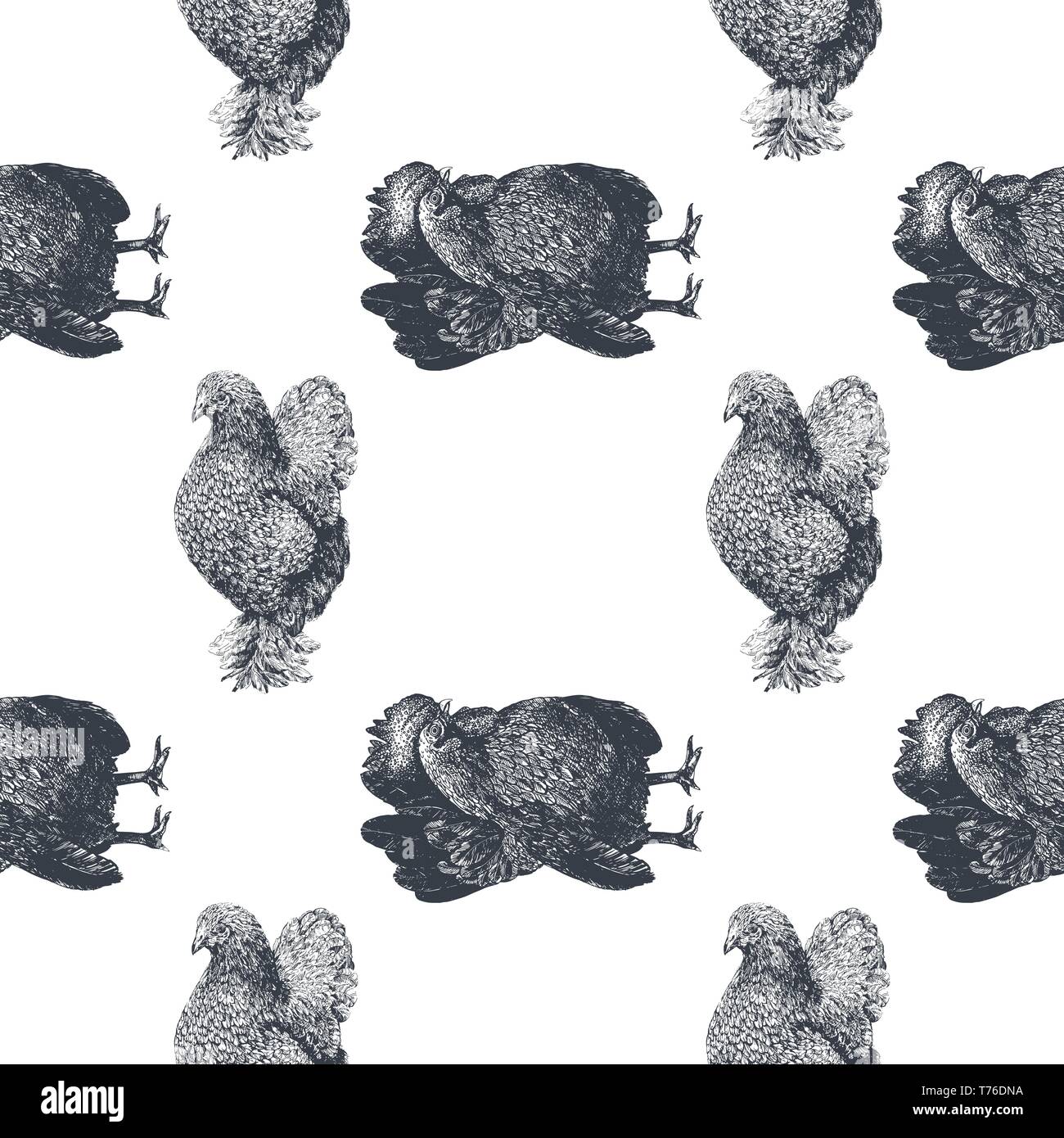 Seamless pattern of hand drawn sketch style chicken with rooster ...