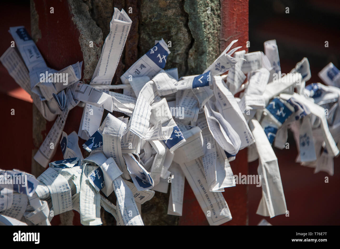 Paper prayers at nezu shrine hi-res stock photography and images - Alamy