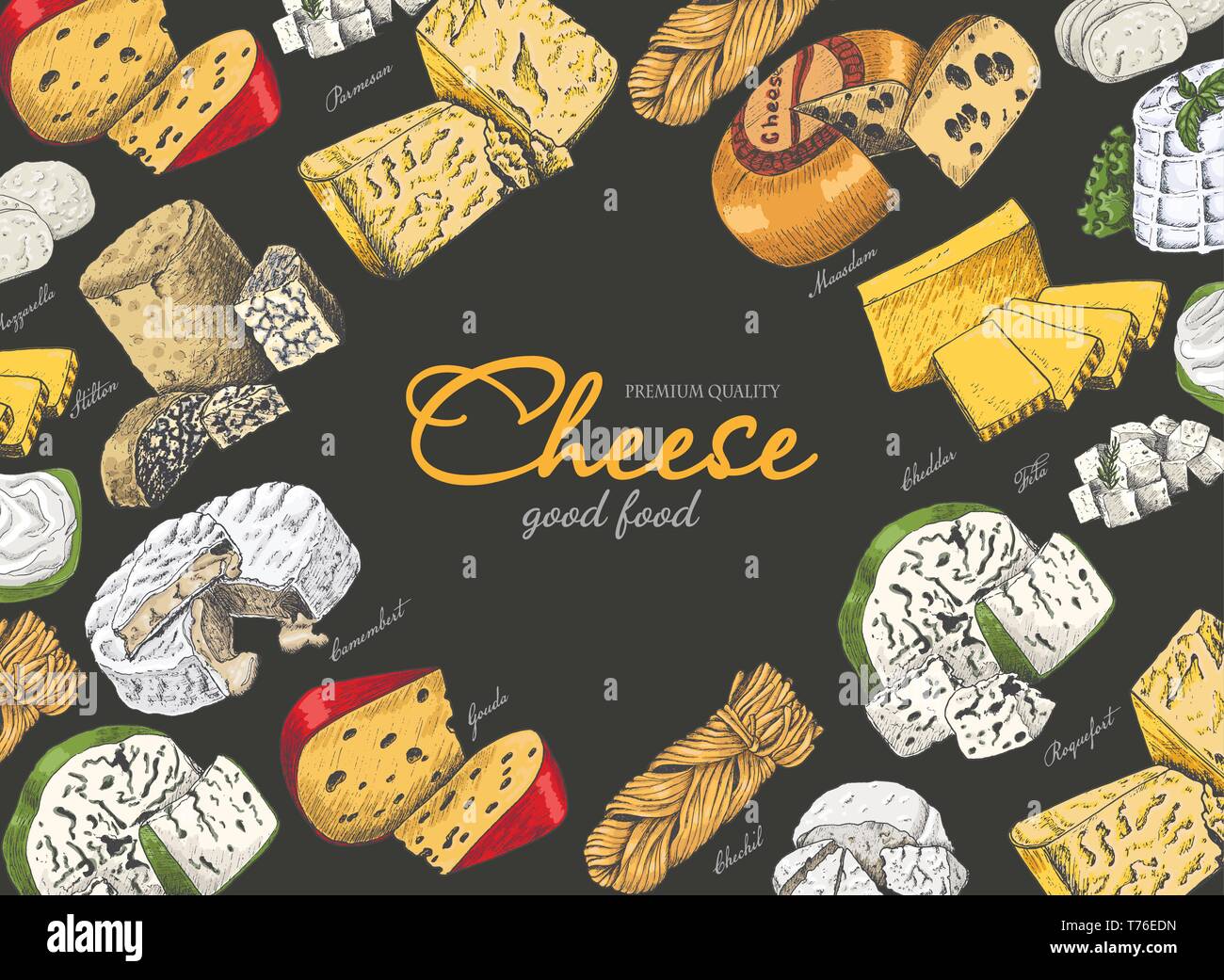 Vector horizontal background with different color cheeses in sketch ...