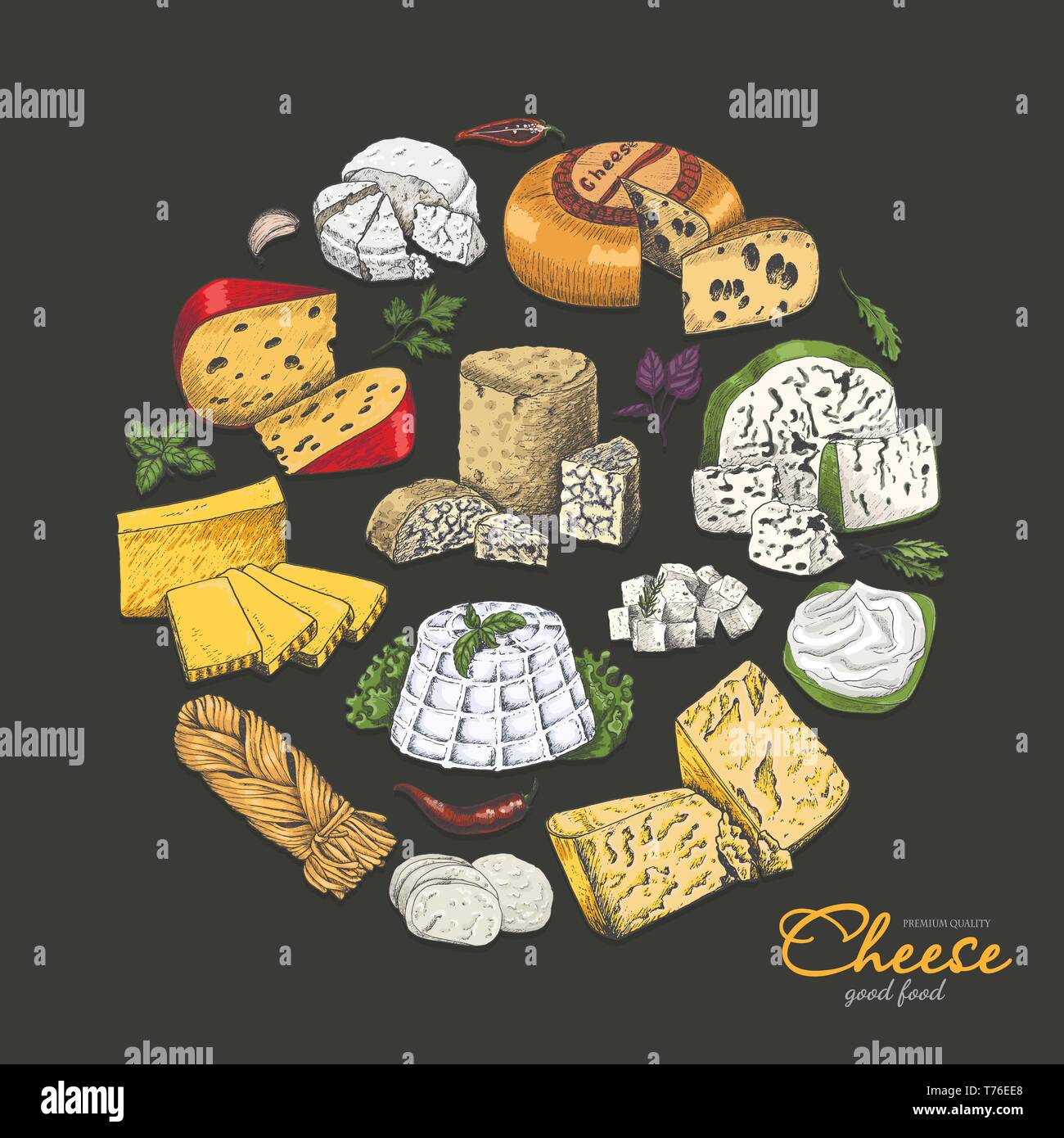 Round cheese stilton Stock Vector Images - Alamy