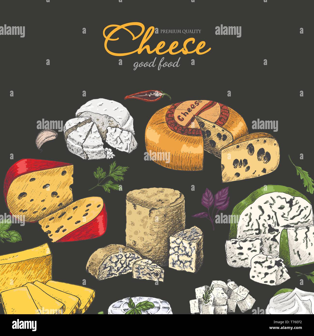 Vector background with cheeses in sketch style. Vector illustration for ...