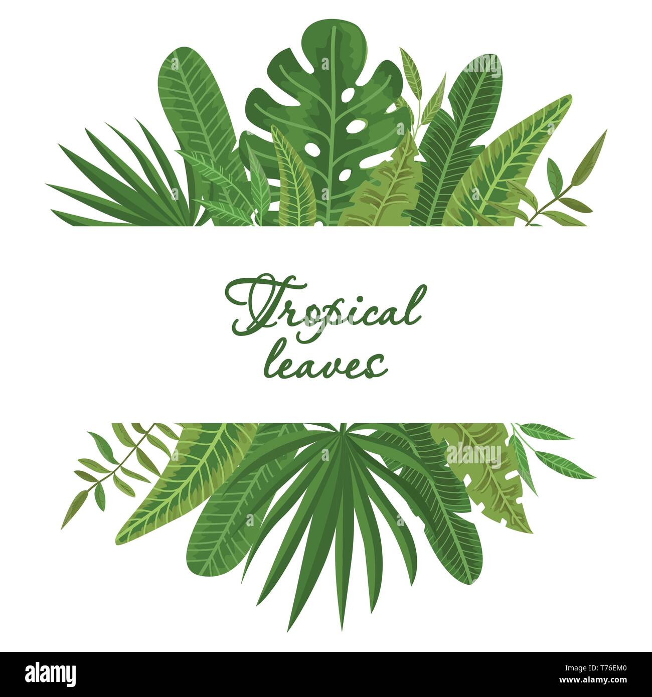 Bright wreath of colorful tropical leaves. Concept of the jungle for ...