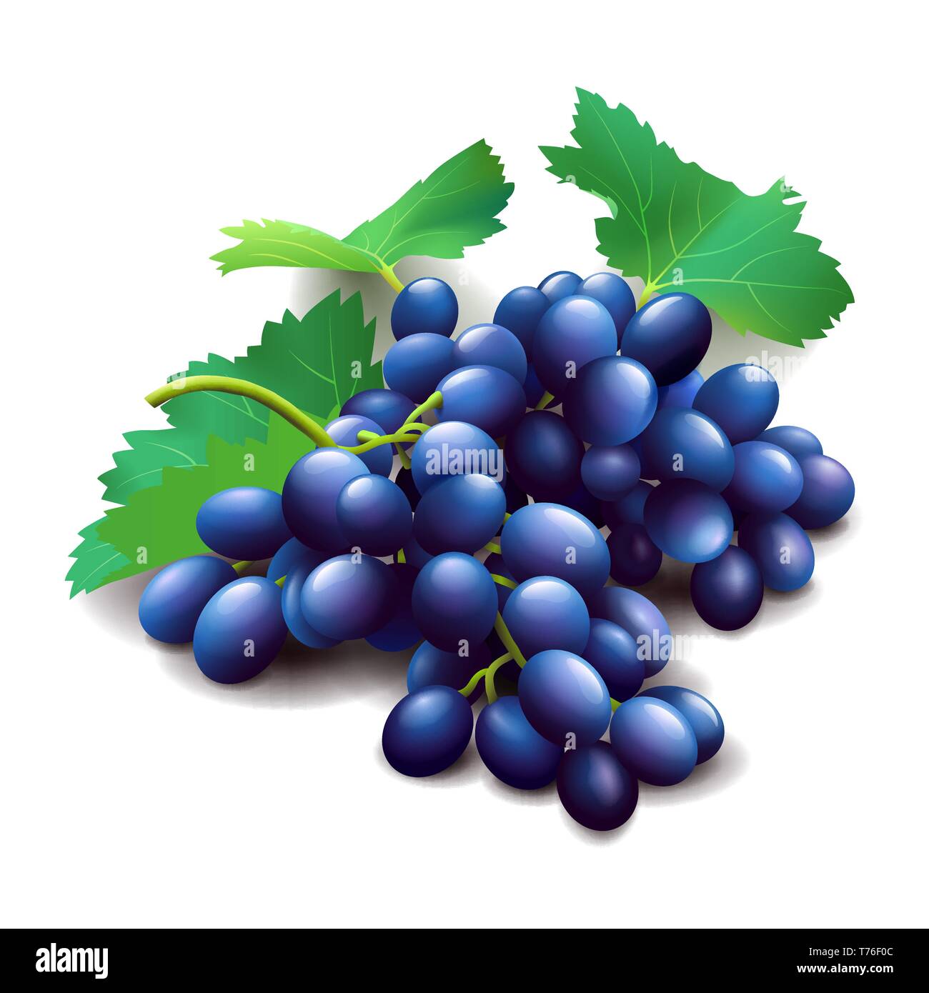 Realistic purple grapes bunch with green leaves isolated on white Stock ...