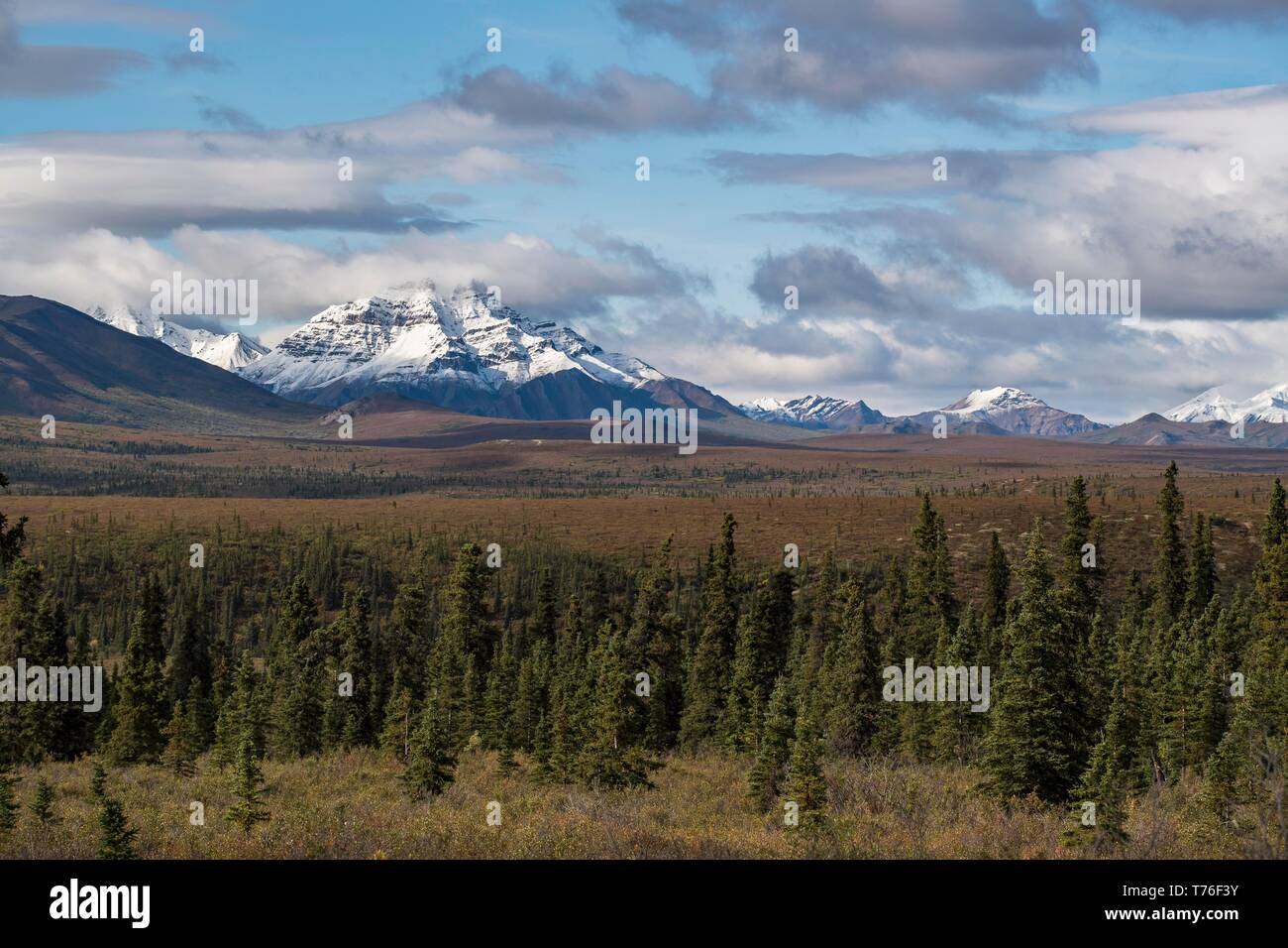 Snow covered mountains of the Alaska Range with tundral landscape ...