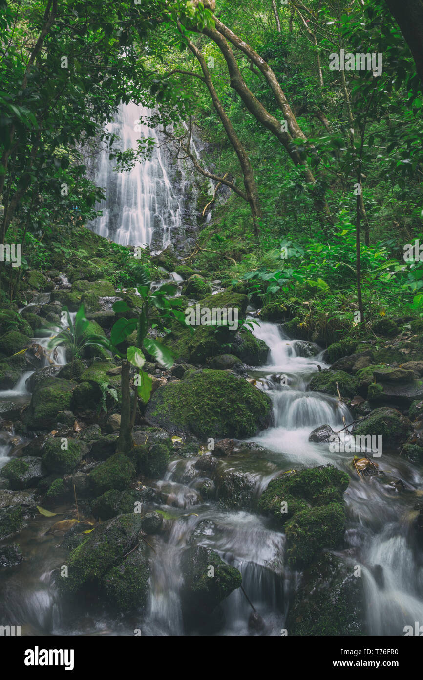 Hamama hi-res stock photography and images - Alamy