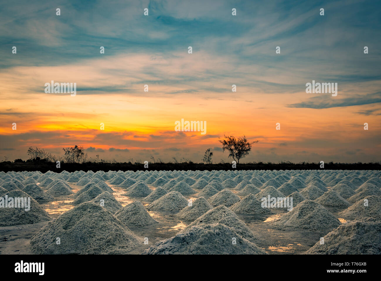 Salt farm in the morning with sunrise sky. Organic sea salt ...