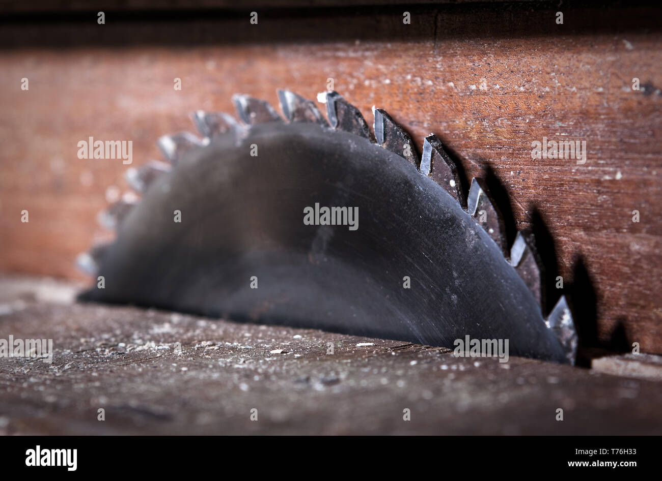 Table saw blade in a woodwork workshop or shed Stock Photo - Alamy